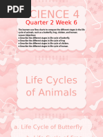 Human Life Cycle Powerpoint | PDF | Adolescence | Toddler