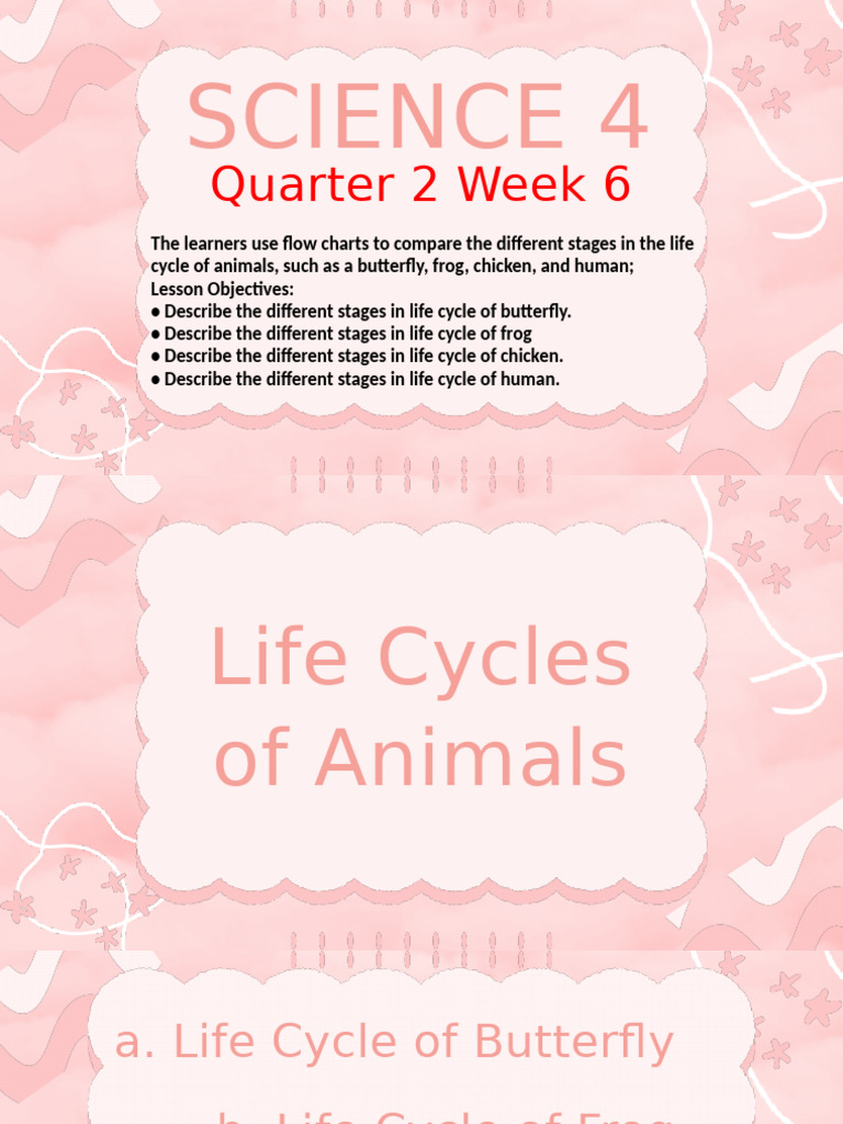 Science 4 Quarter 2 Week 6 | PDF | Pupa | Butterfly