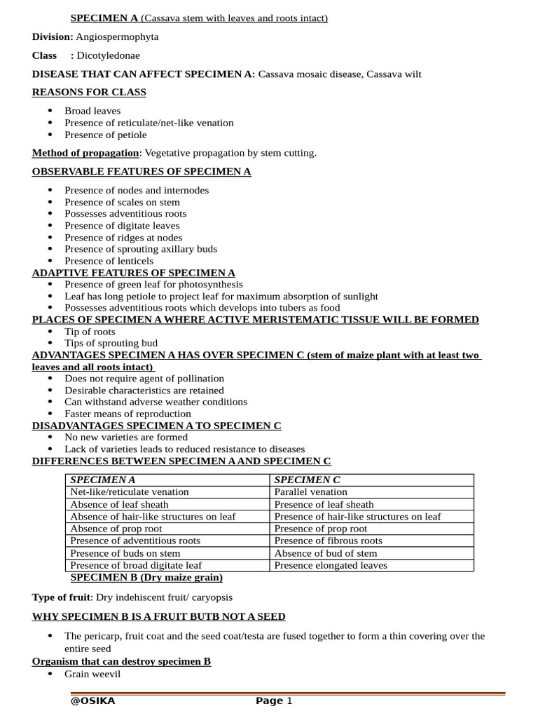 2024 Likely Pratical Exams | PDF | Leaf | Flowers