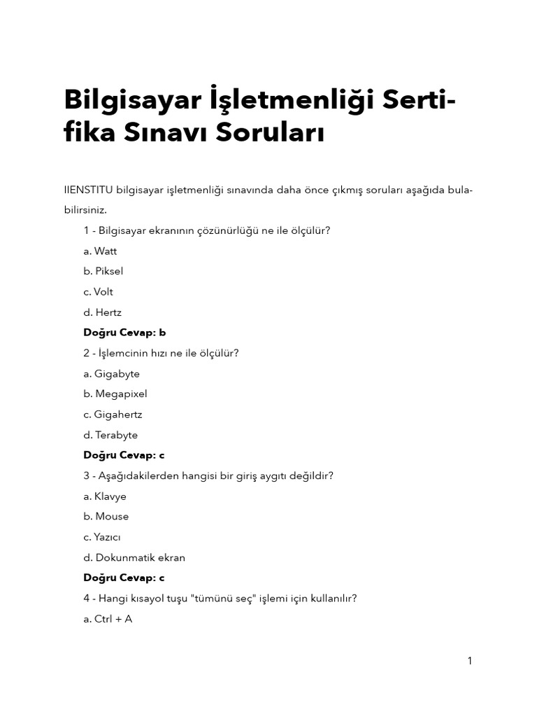 Bilgisayar Isletmenligi Sertifika Sinavi Sorulari | PDF