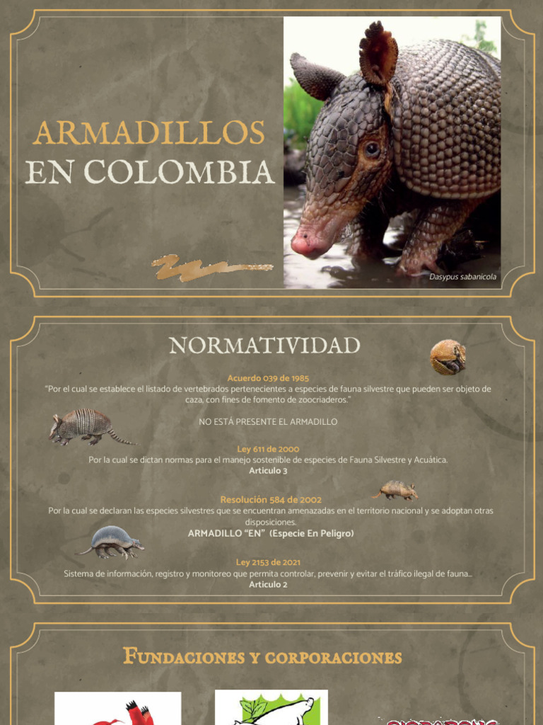 ARMADILLOS | PDF