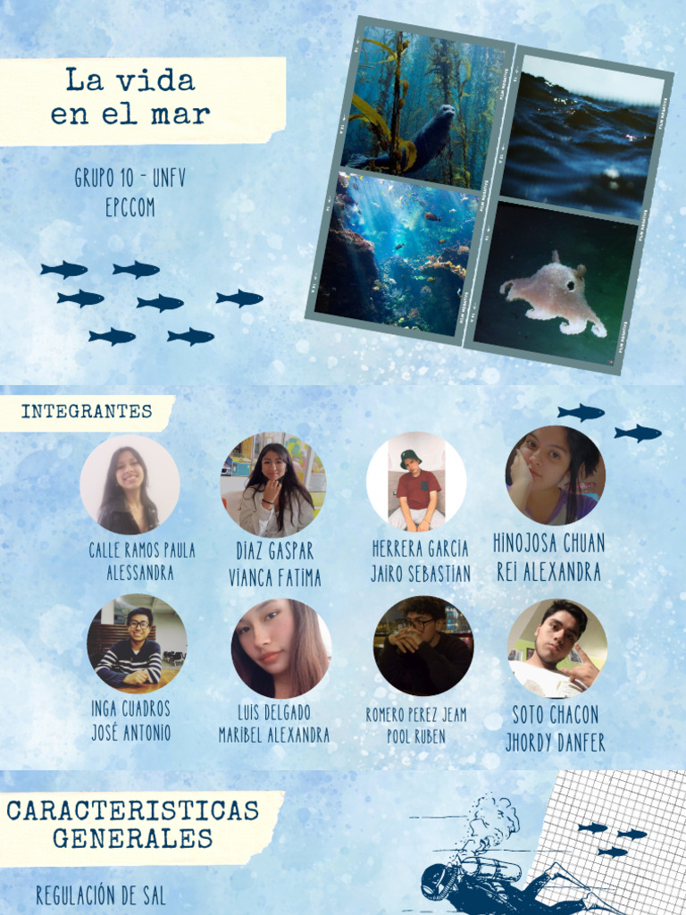 Vida Marina G10 | PDF | Plancton | Fitoplancton