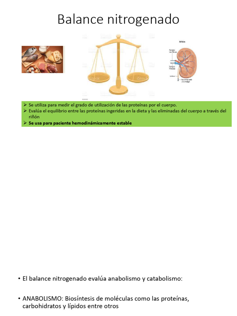 Balance Nitrogenado | PDF | Orina | Proteínas