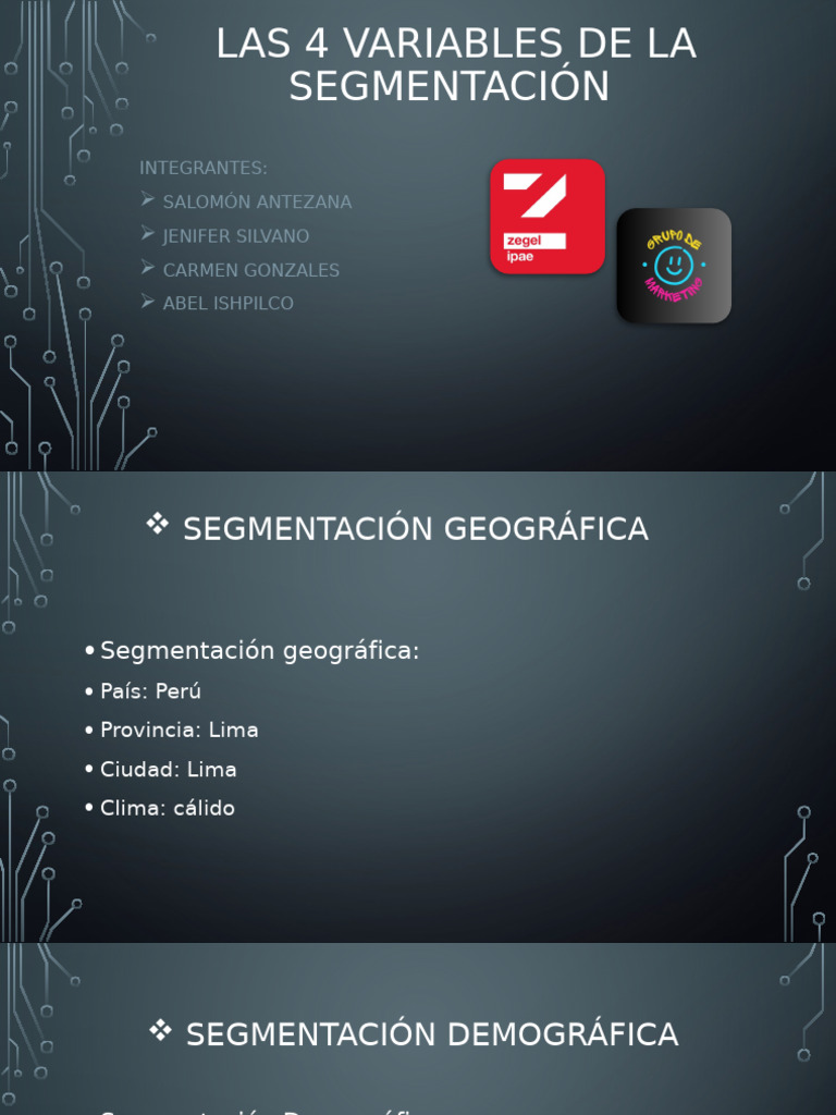 Las 4 Variables De La Segmentación[1] Pdf