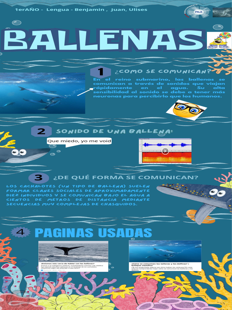 Ballenas | PDF