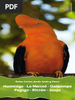 Triptico Cerro Pasco | PDF