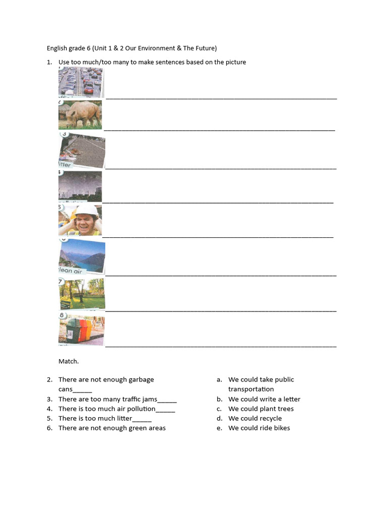 English Grade 6 (Our Environment and The Future) | PDF