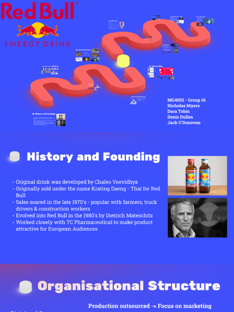 RedBull Management | PDF
