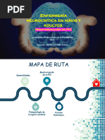 Nanda Nic Noc | PDF | Dolor | Cerebro