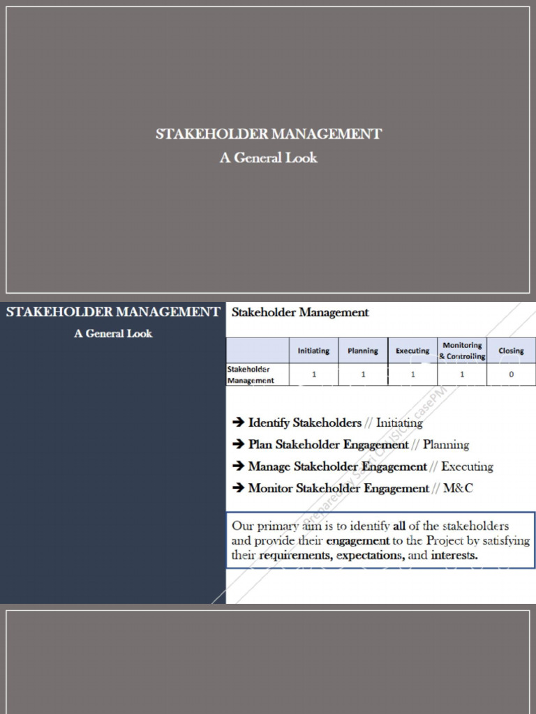 14 - Stakeholder Management | PDF