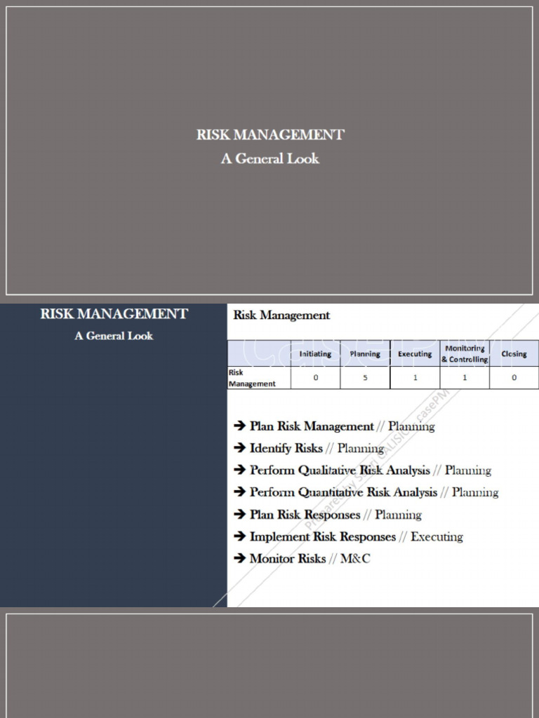 12+ +Risk+Management | PDF