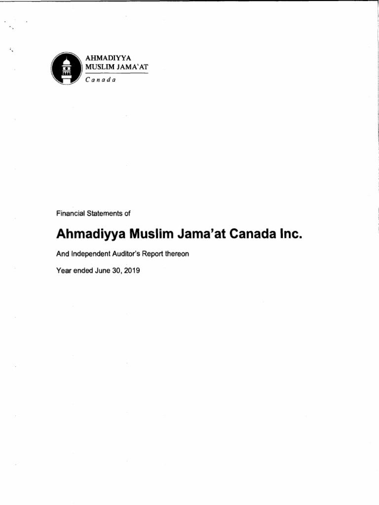 Financial Statements Amj Canada | PDF | Audit | Going Concern