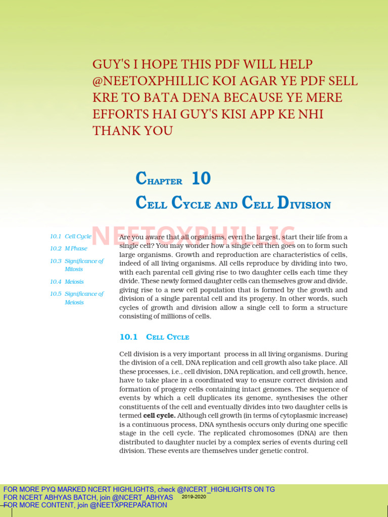 Cell Cycle and Cell Division | PDF | Meiosis | Mitosis