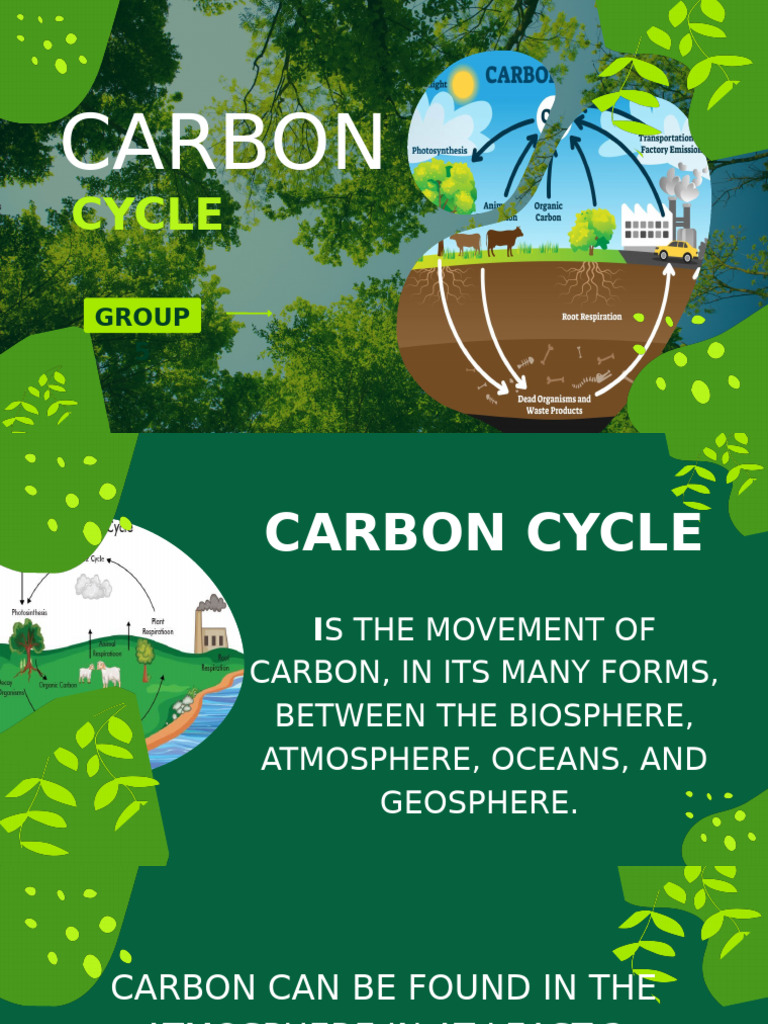Envi Science G5 | PDF | Oxygen | Carbon Cycle