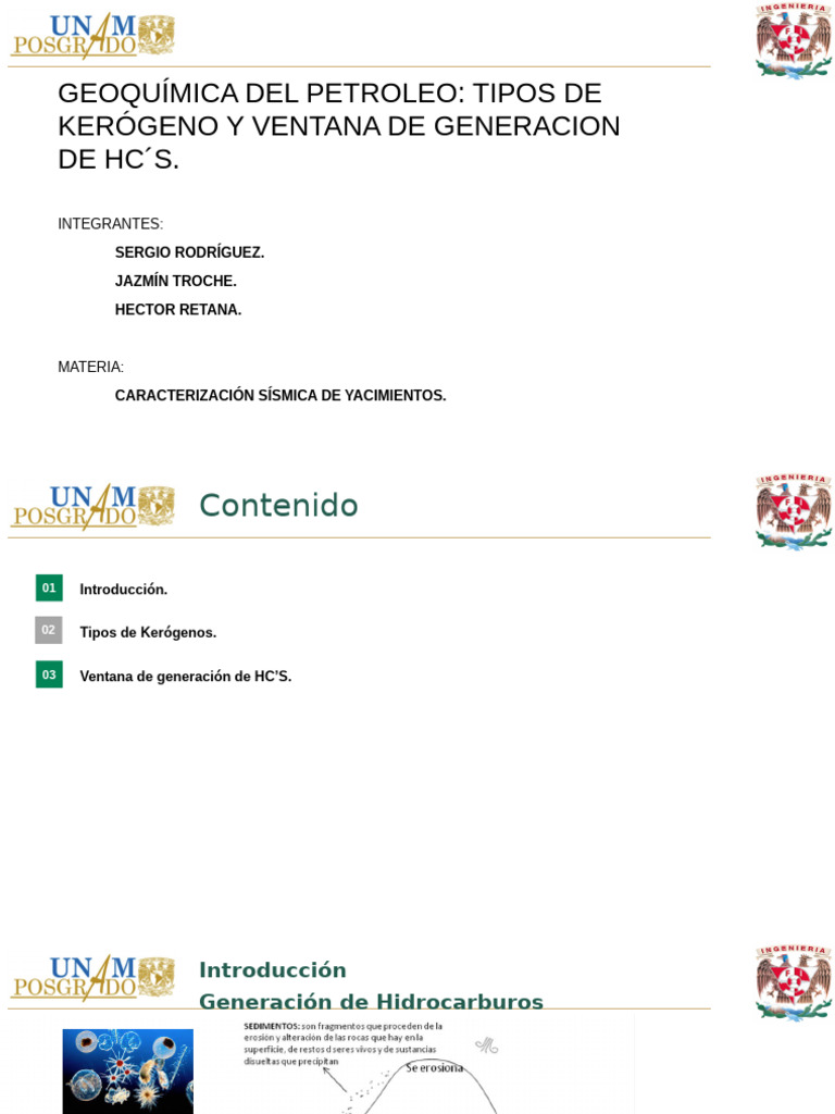 Tipos de Kerogeno | PDF | Compuestos orgánicos | Hidrógeno