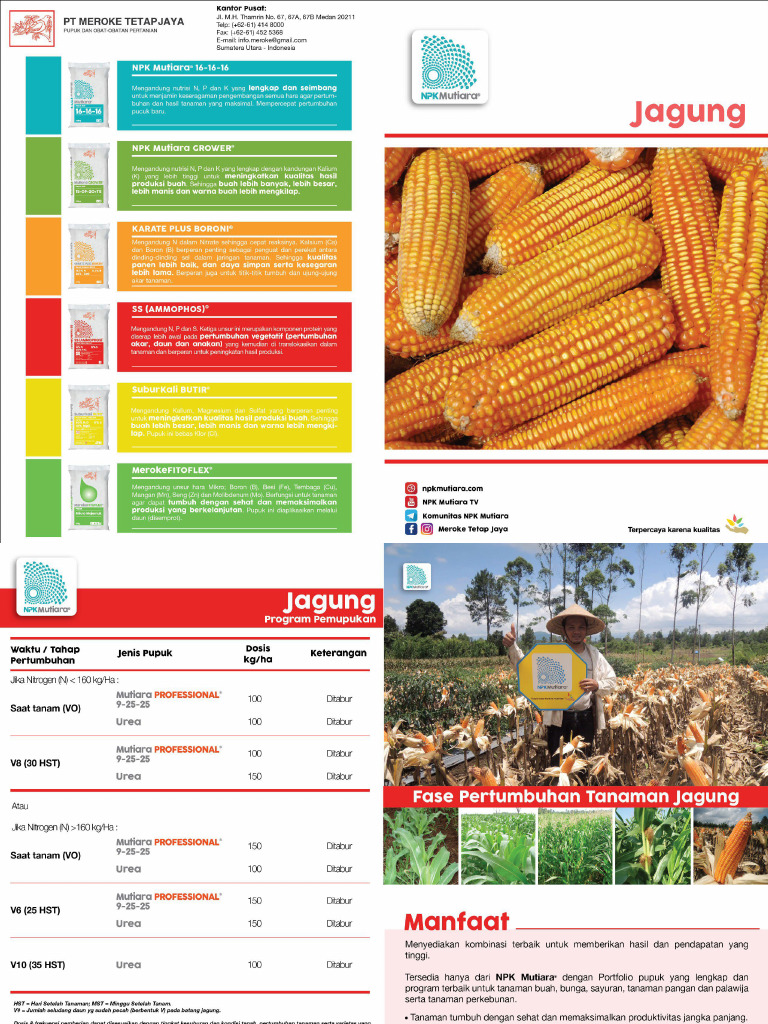 Gawe Jagung | PDF