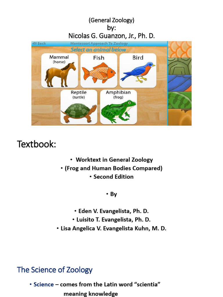 Zoo 1101Final1 | PDF | Microscope | Taxonomy (Biology)