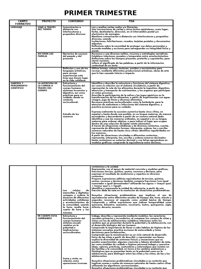 Contenidos Pda4° | PDF
