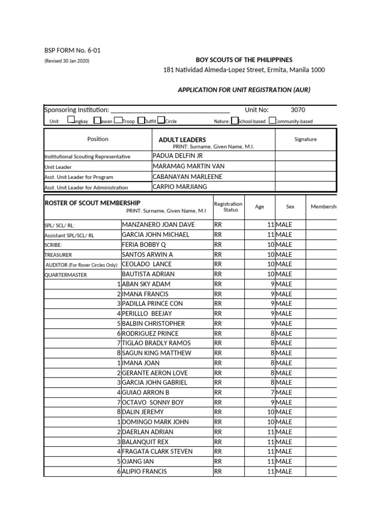 Electronic AUR With BOR REPORT | PDF | Girl Guiding And Girl Scouting ...