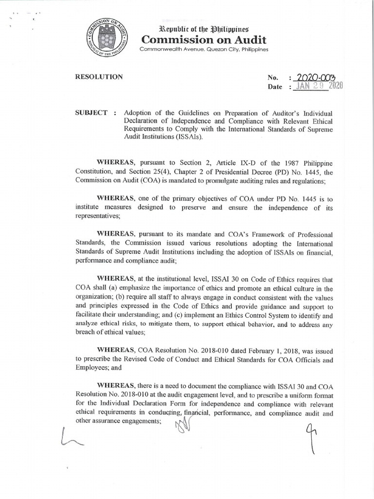 COA - R2020-003 Guidelines On AIDI & CRER (Auditor's Declaration) | PDF