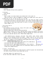 ADSP 완벽 정리 (PDF) | PDF