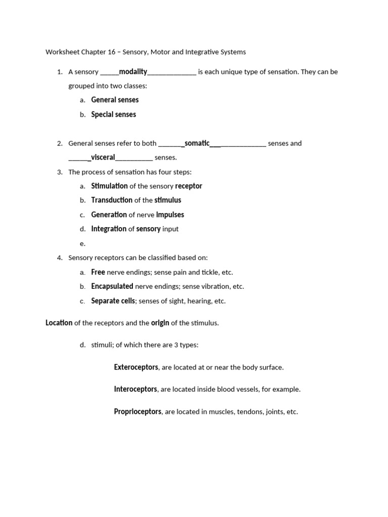 Worksheet CH 16 Sensory, Motor and Integration Systems-1 | PDF | Motor ...