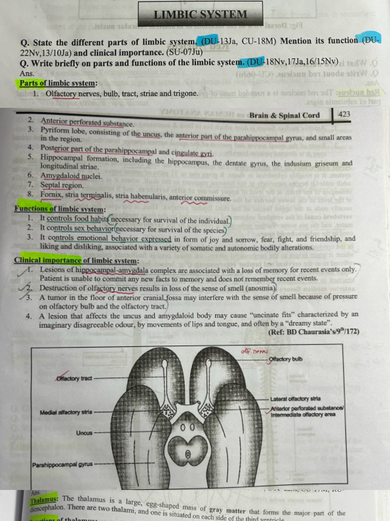 Anat Item Written | PDF