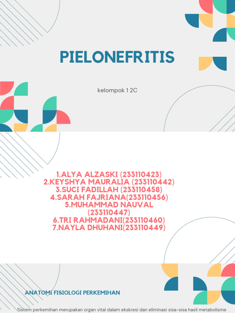 Colorful Modern Business Infographic Presentation PDF | PDF ...