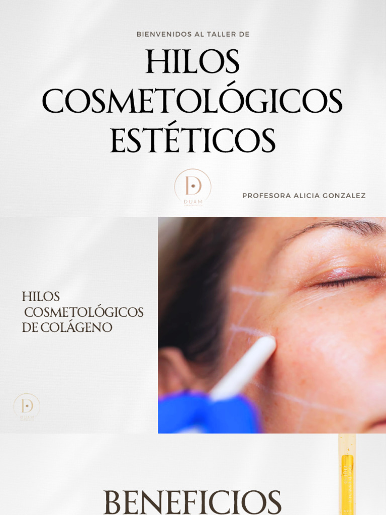 PDF Diapositivas Hilos | PDF | Negocios