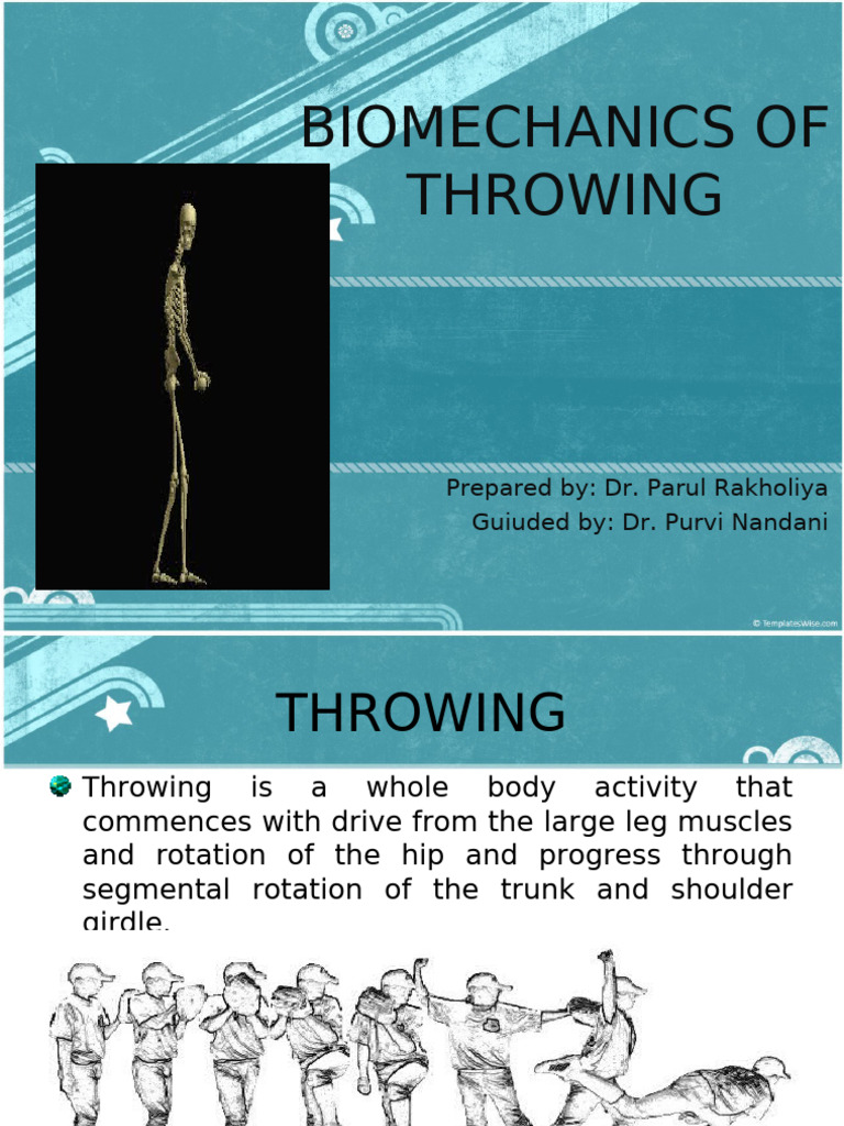 Biomechanics of Throwing Explained | PDF | Anatomical Terms Of Motion ...