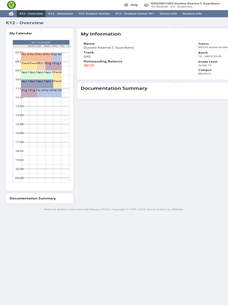 K12 - Overview - NetSuite (FEU Roosevelt) | PDF
