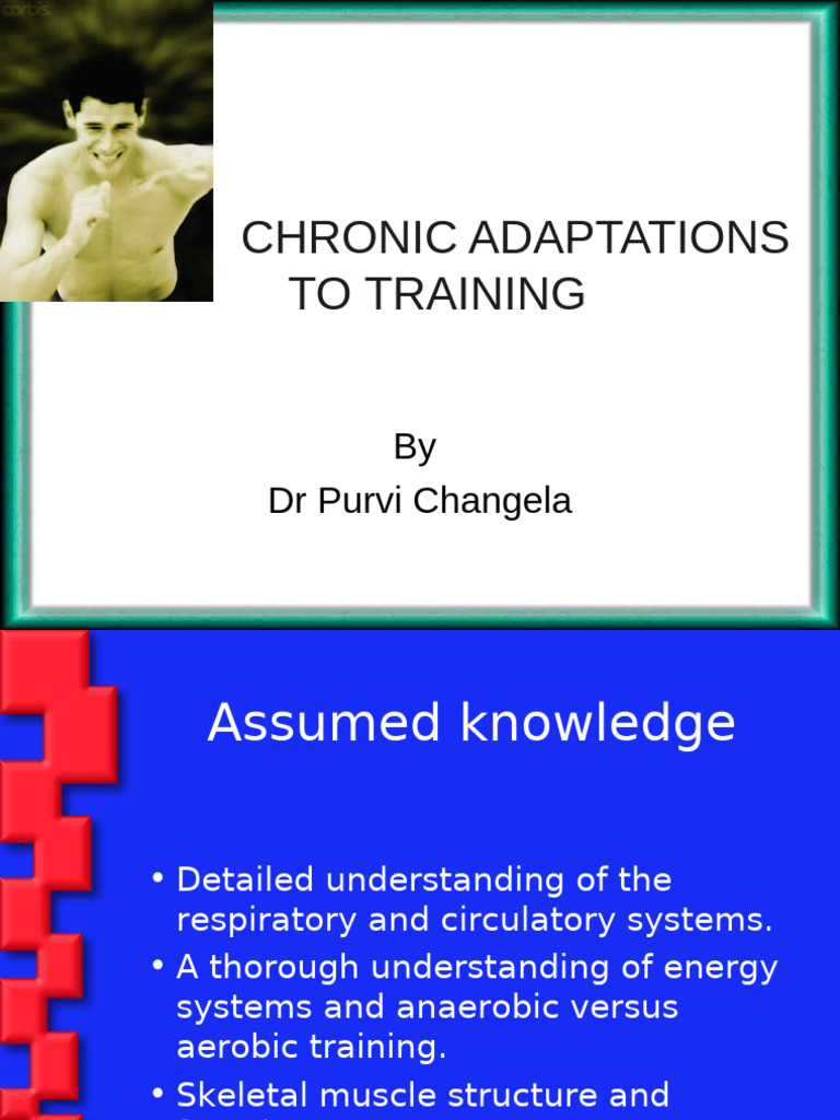 Chronic Adaptations To Training | PDF | Aerobic Exercise | Heart