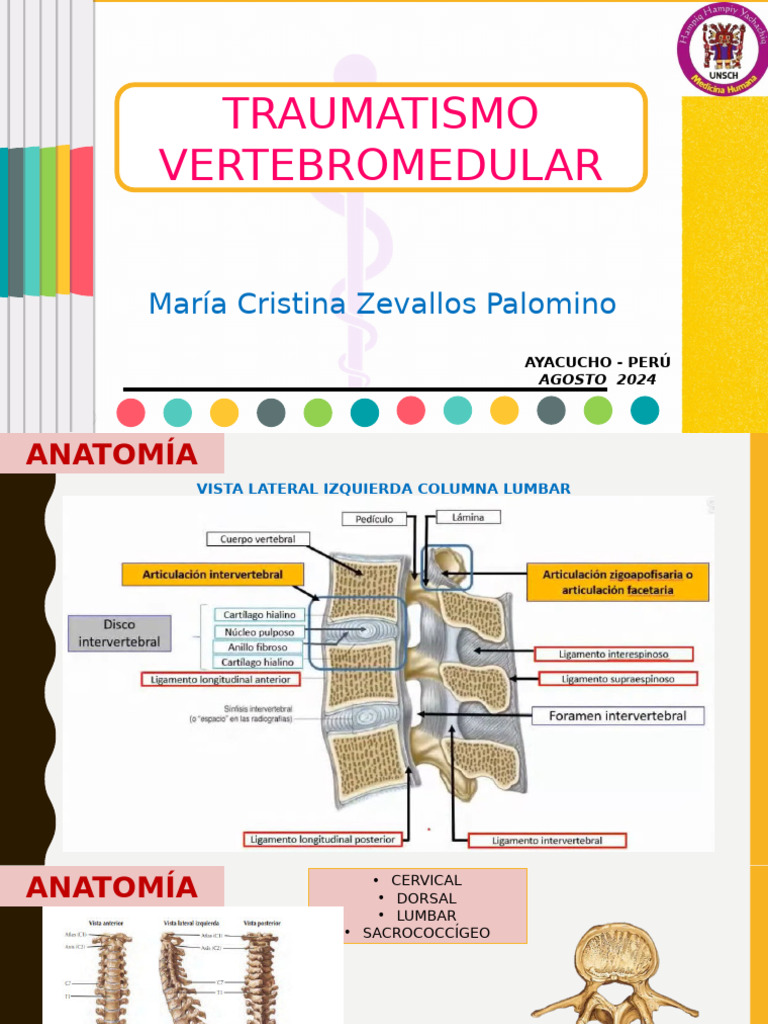 Traumatismo Vertebromedular | PDF | Médula espinal | La columna vertebral