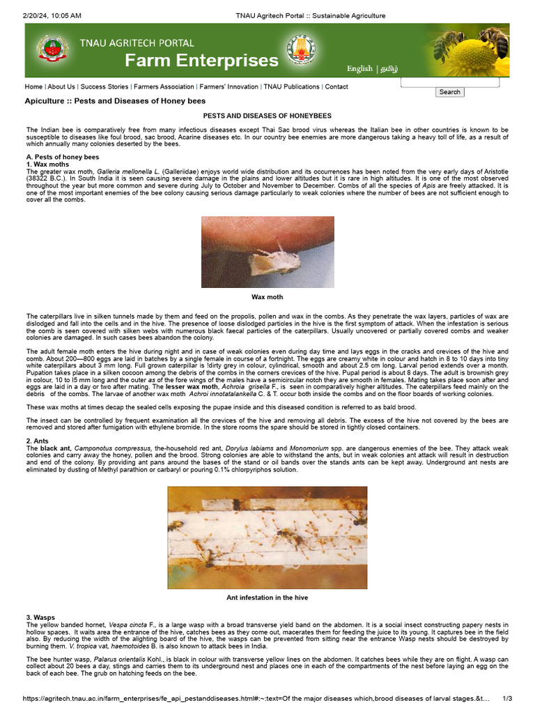 TNAU Brood Diseases of Honey Bee | PDF | Honey Bee | Bees