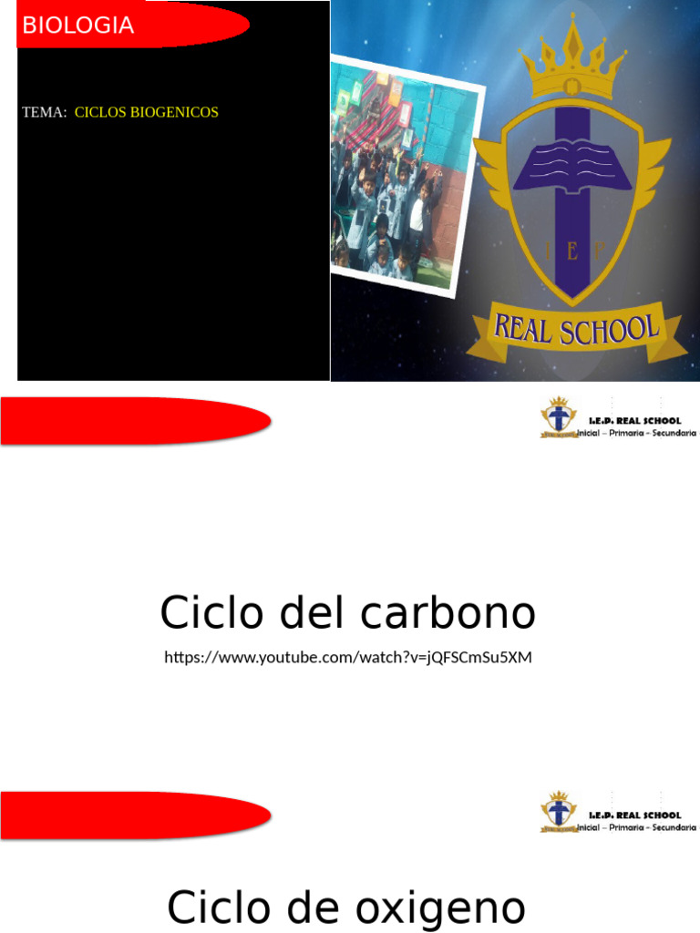 Ciclos | PDF