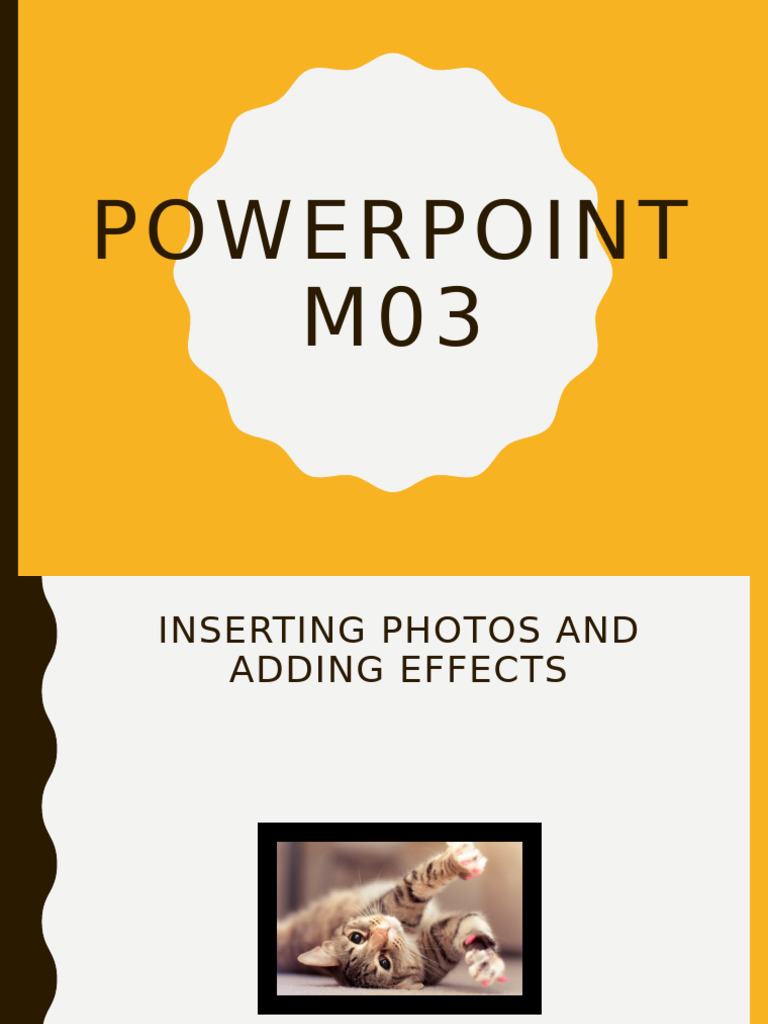 Powerpoint m03 | PDF