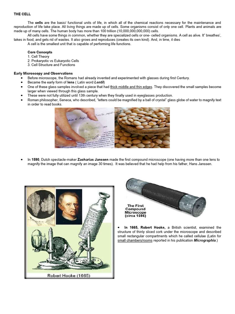 LESSON 1 CELL Theory Structure and Functions | PDF | Cell (Biology ...