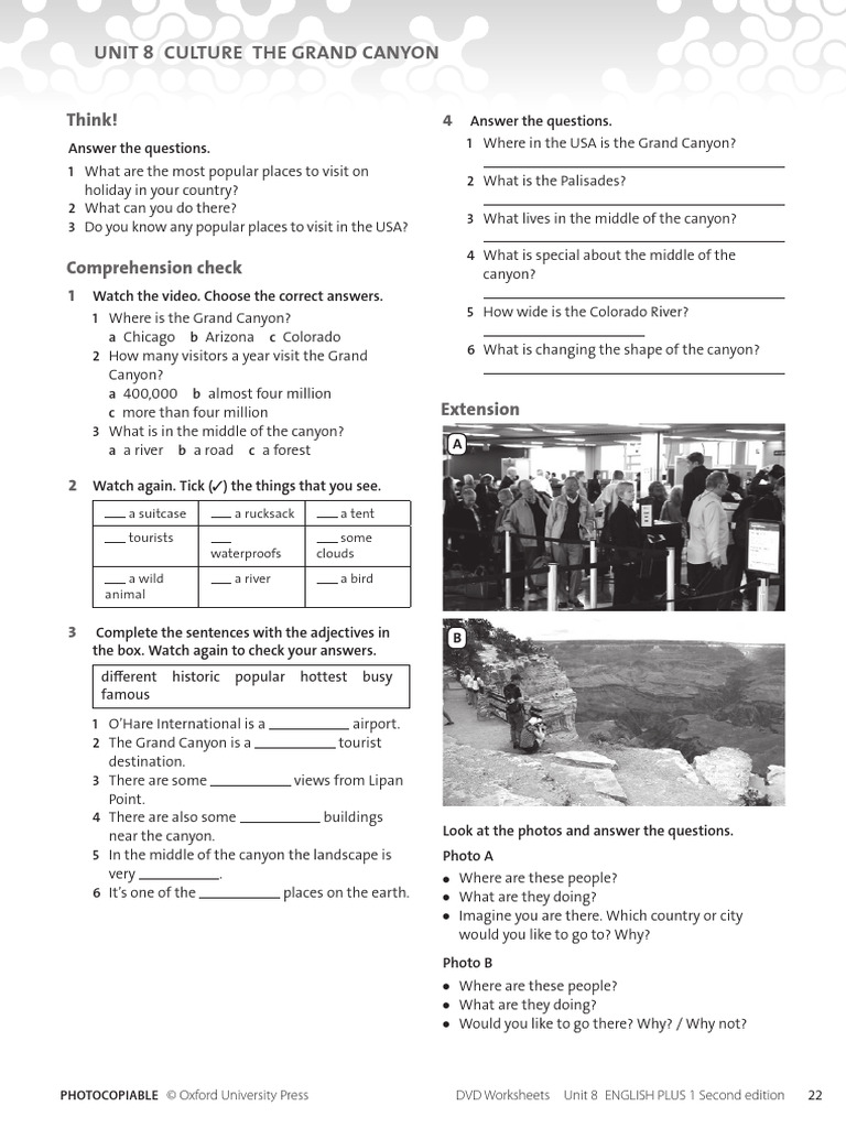 Unit_8_DVD_Worksheet | PDF