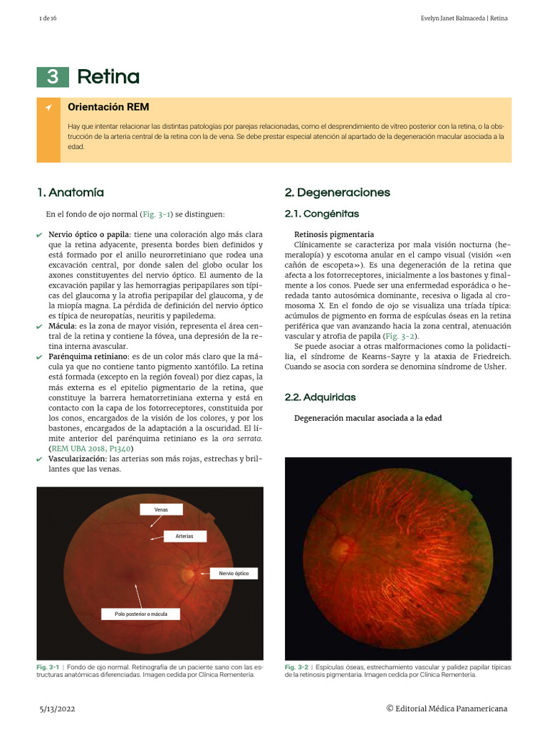 Retina | PDF | Enfermedades y trastornos | Oftalmología