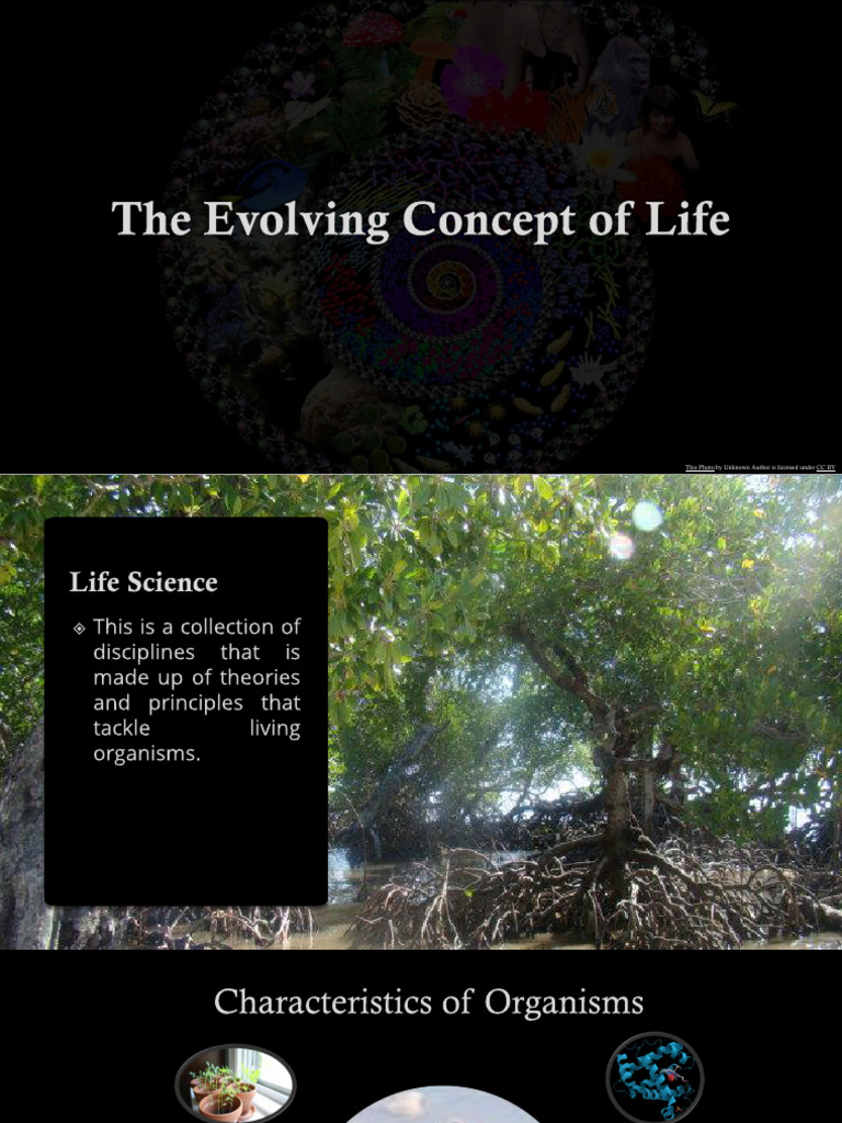 The Evolving Concept of Life 101352 | PDF | Life | Cell (Biology)