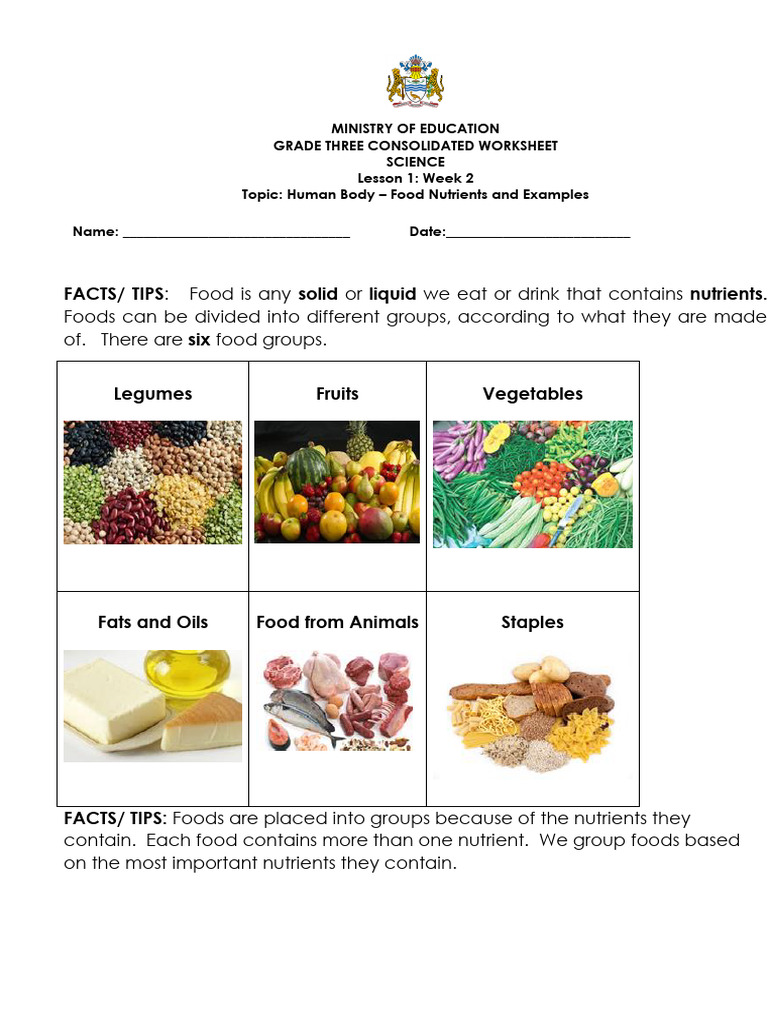 Grade 3 Science Week 2 Lesson 1 - 2022 - Consolidated Worksheet | PDF | Self-Improvement | Wellness