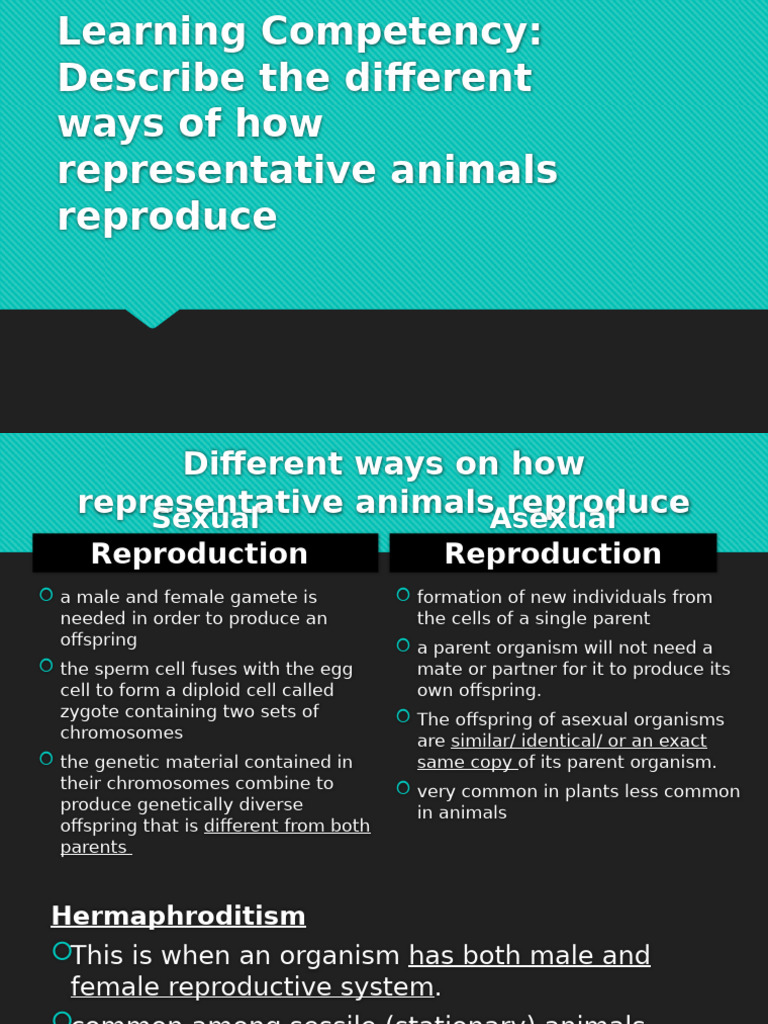 How Animals Reproduce | PDF | Reproduction | Sexual Reproduction