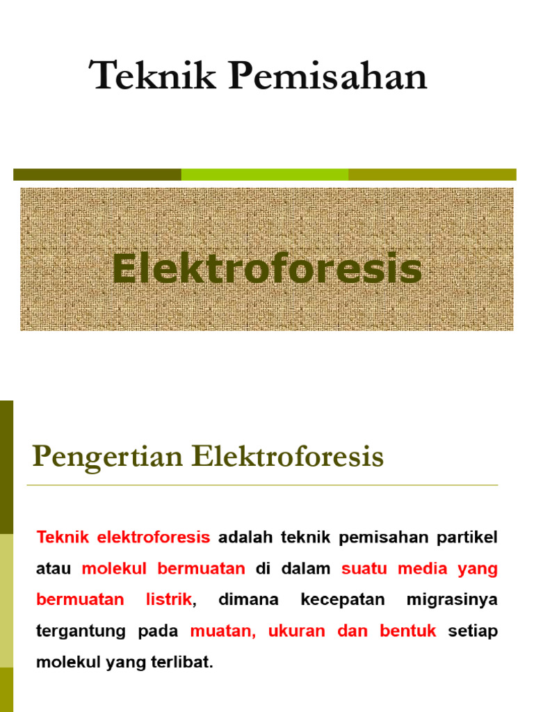 Elektroforesis Teknik Pemisahan | PDF