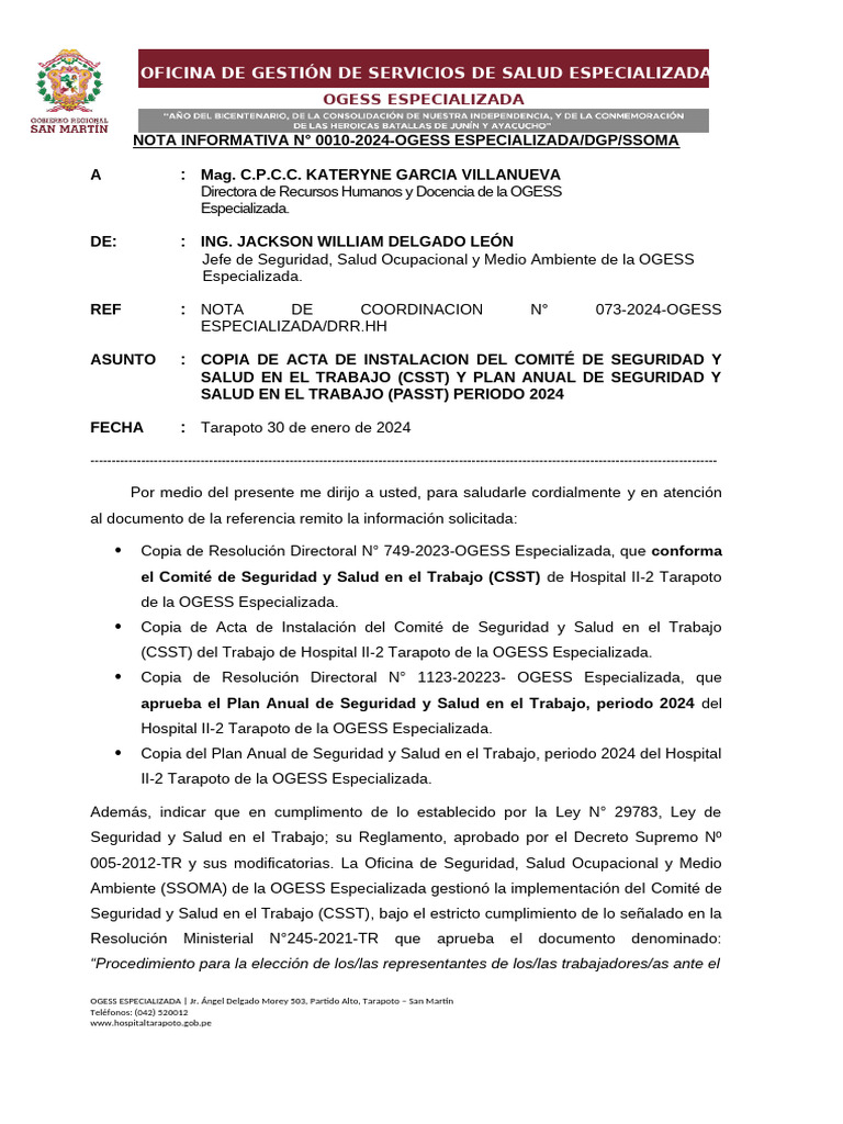 Lista de CSST y Plan Anual de SST Hosptial Ii-Tarapoto | PDF