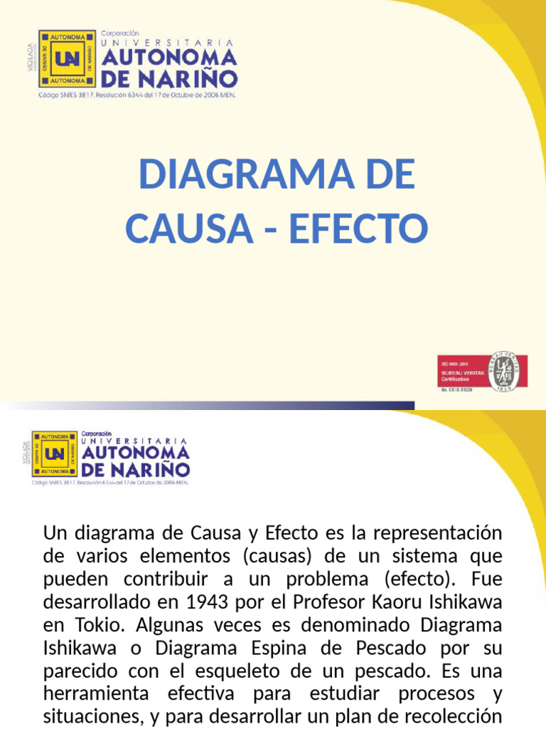 Diagrama de Causa y Efecto: Guía Práctica | PDF