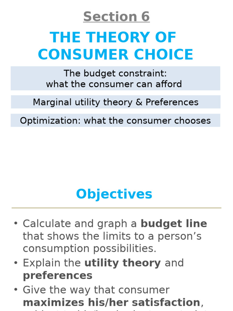 Section 6 - The Theory of Consumer Choice | PDF | Utility | Economies