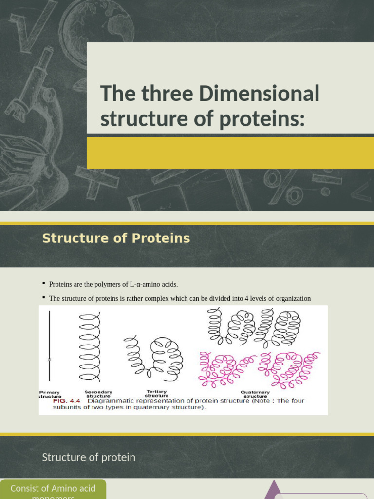 Structure of Proteins | PDF | Protein Structure | Proteins