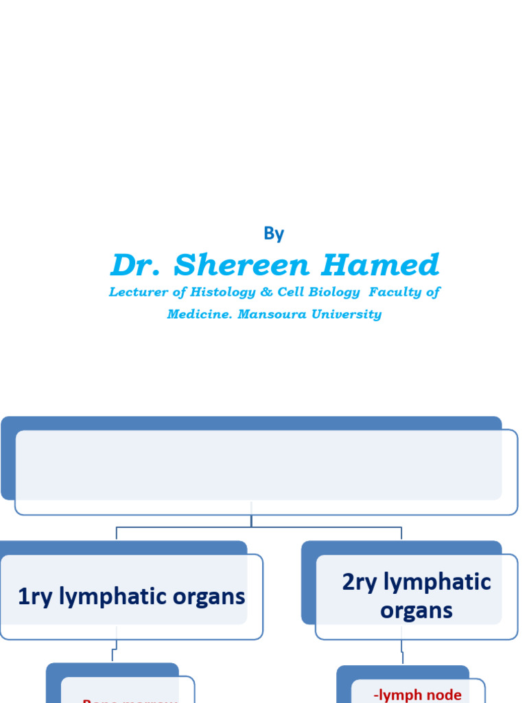 Revision of Lymphatic System | PDF | Lymph Node | Lymphatic System