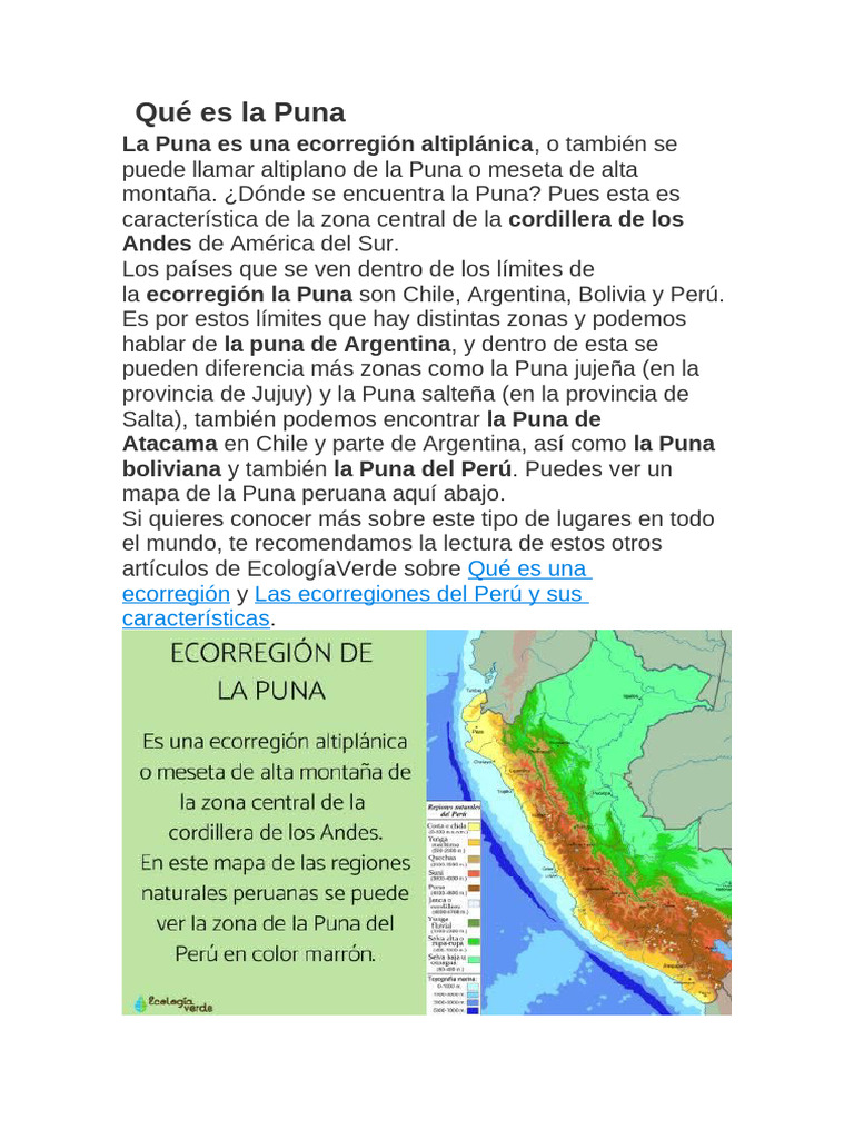 Qué Es La Puna | PDF | Ciencias de la Tierra | Geografía Física