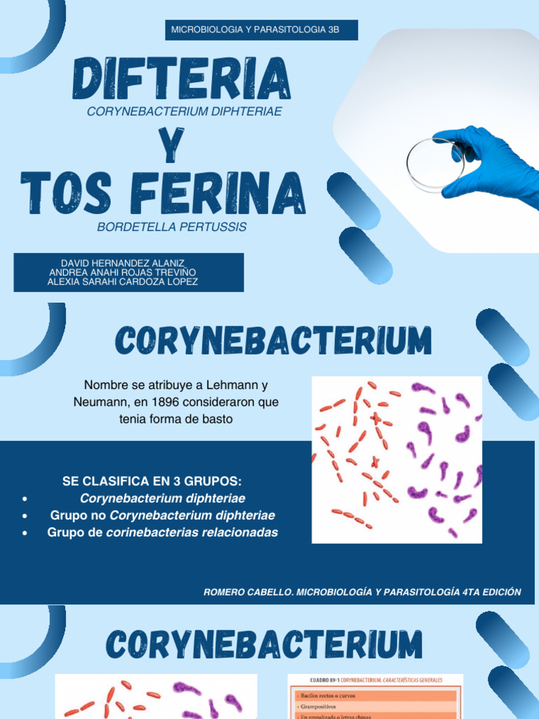 Difteria y Tos Ferina | PDF | Especialidades Medicas | Inmunología